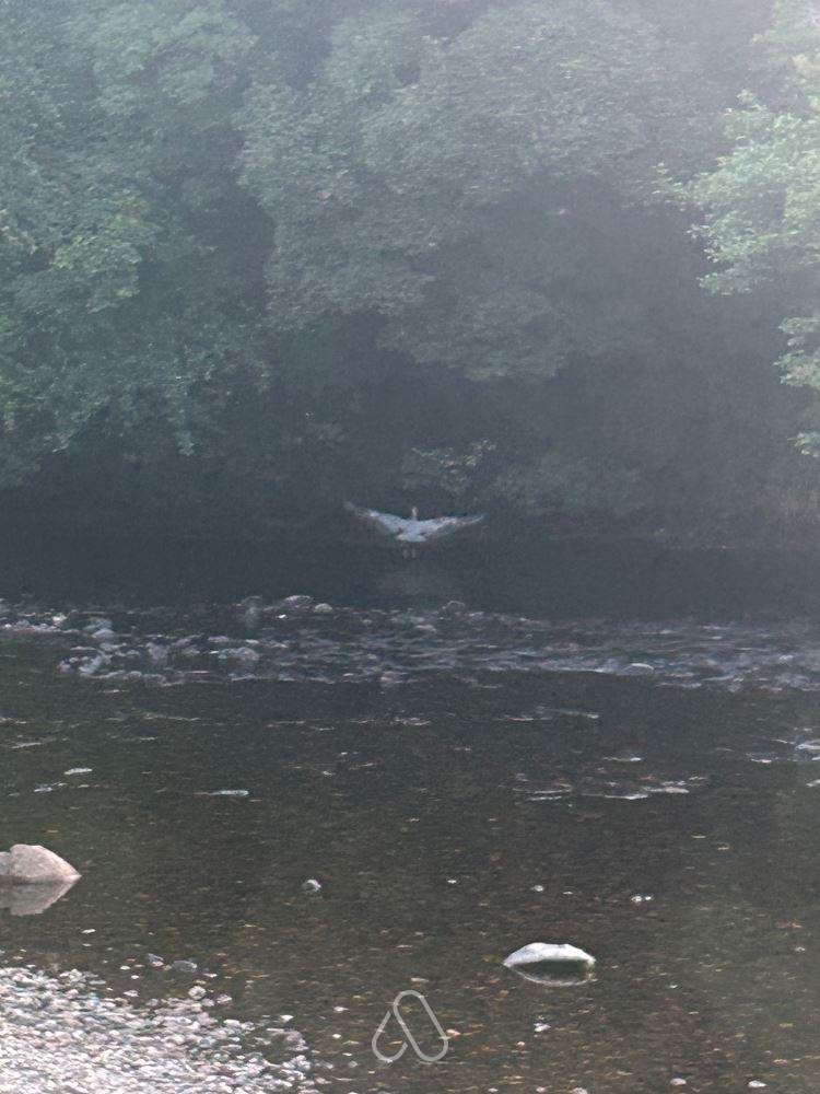 Hidden Valley Holiday Park, Wicklow, Ireland