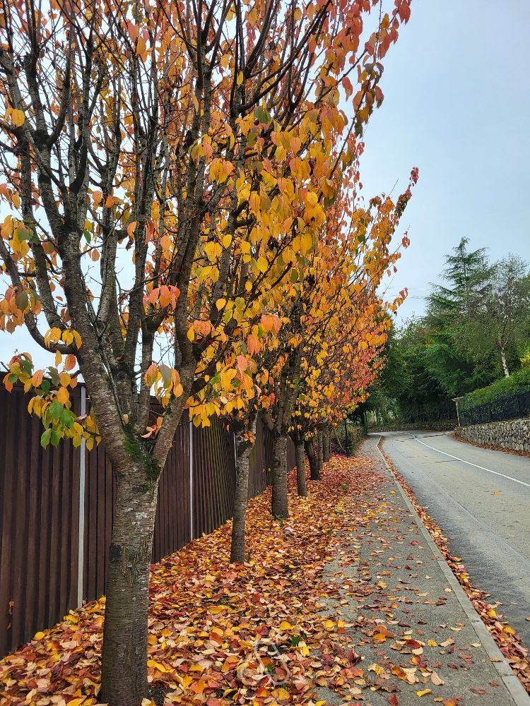 Hidden Valley Holiday Park, Wicklow, Ireland