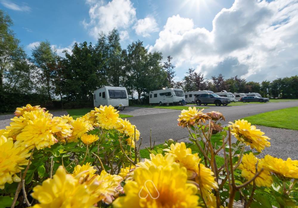 Longnor Wood Holiday Park, Staffordshire, England