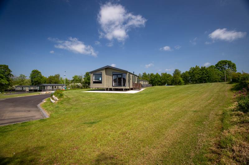 The Pastures